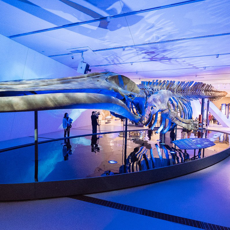 News - Research Casting International