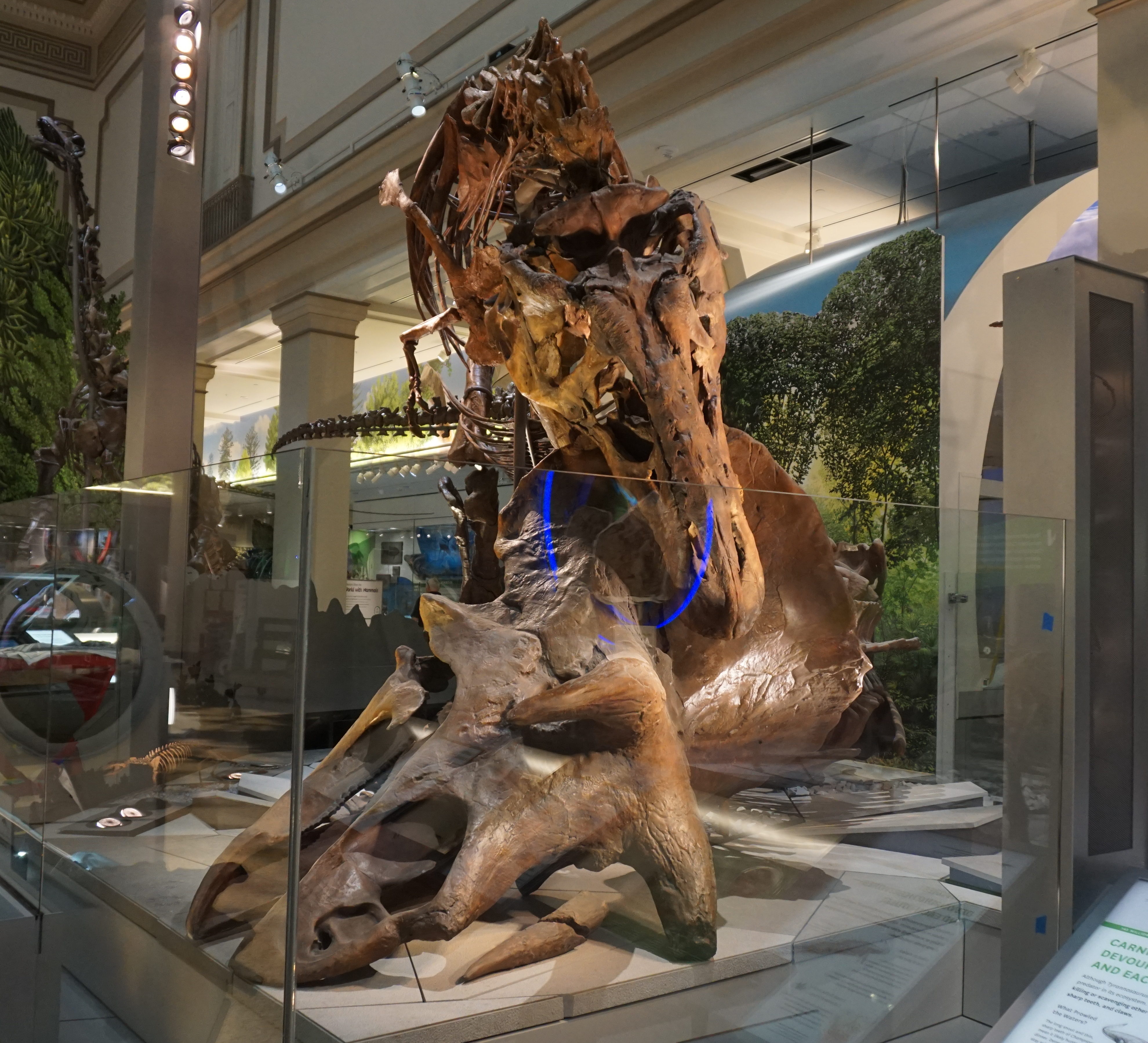 News - Research Casting International