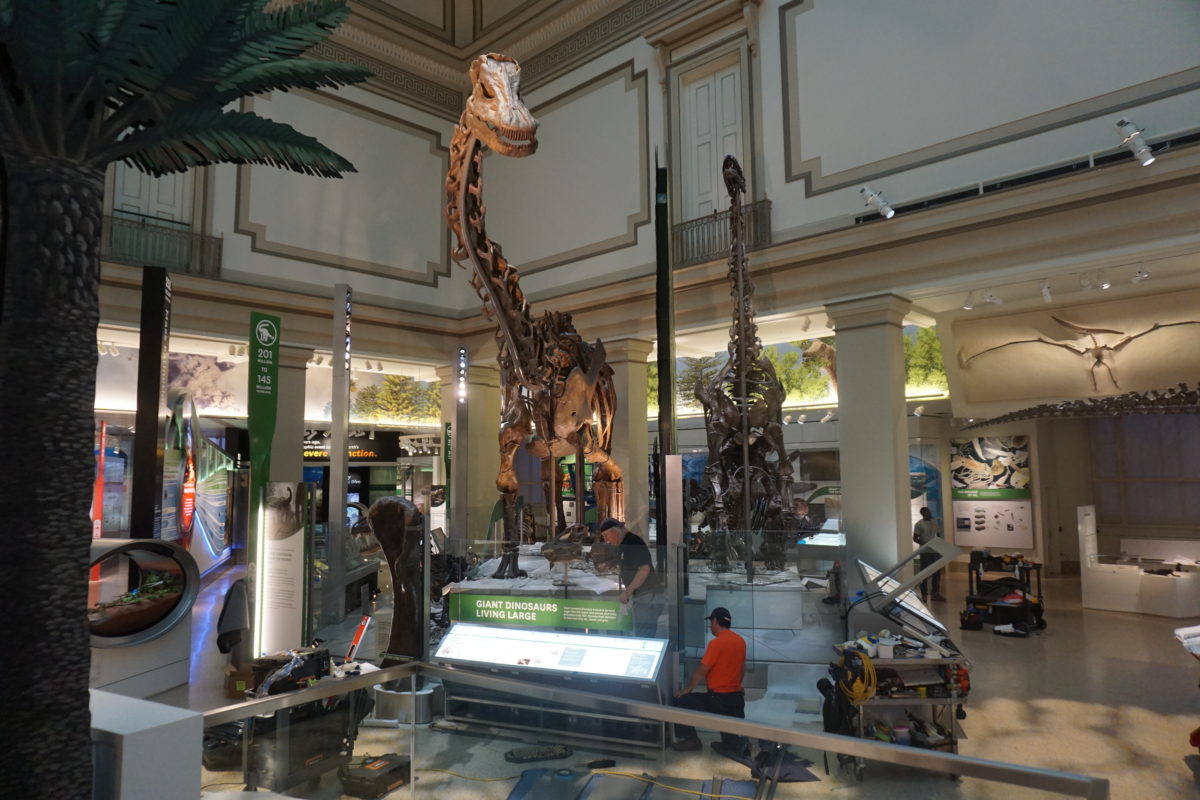 Smithsonian National Museum of Natural History Fossil Hall – Research ...