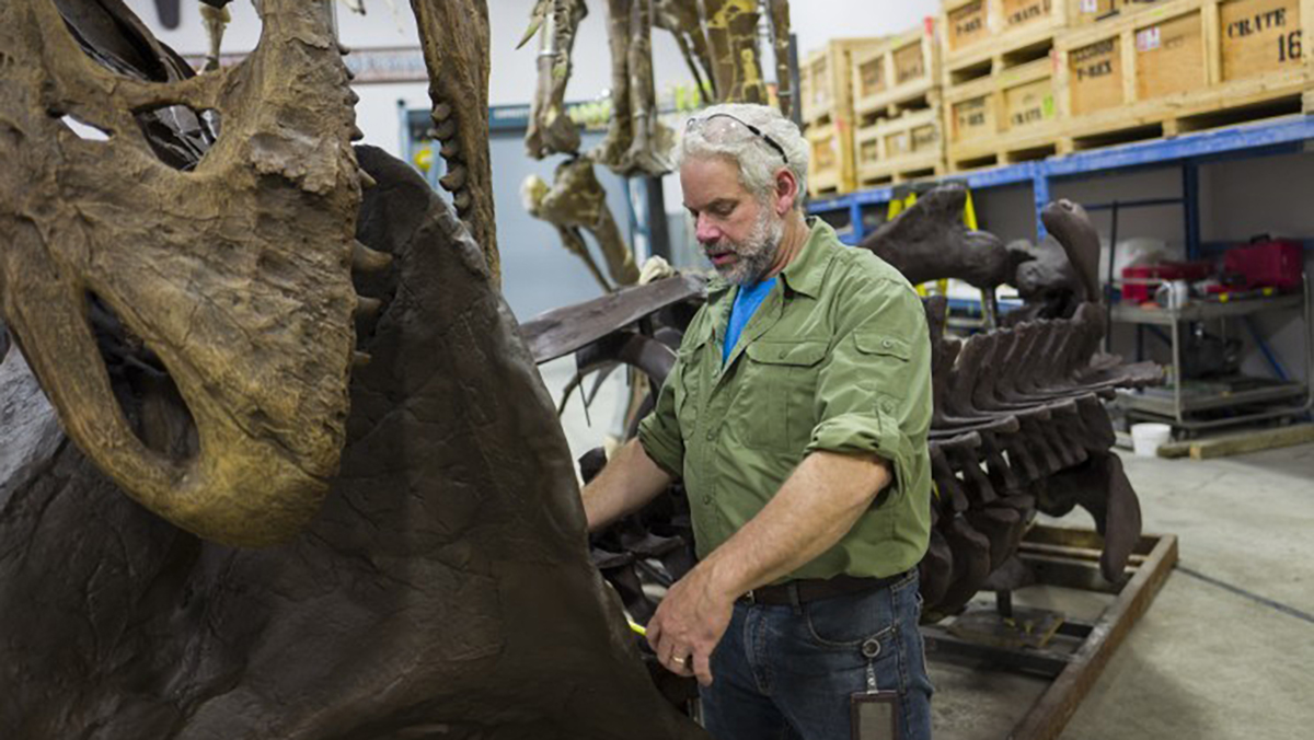 Smithsonian National Museum of Natural History Fossil Hall – Research ...