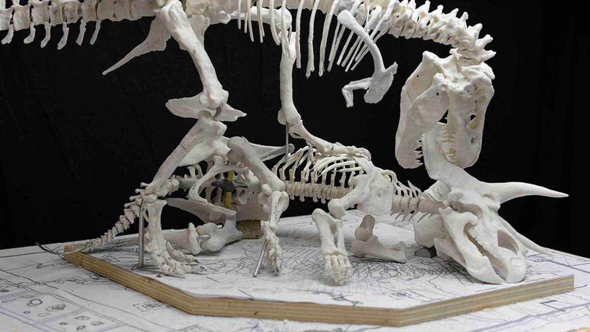 Smithsonian National Museum of Natural History Fossil Hall – Research ...