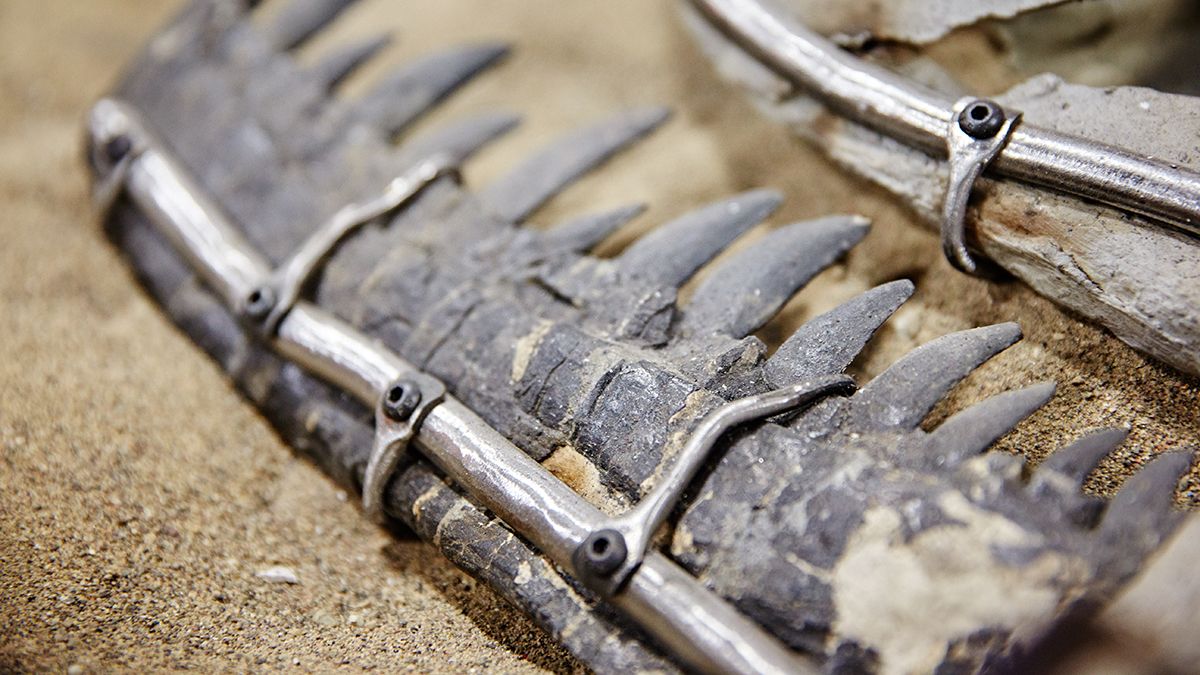 Smithsonian National Museum of Natural History Fossil Hall – Research ...