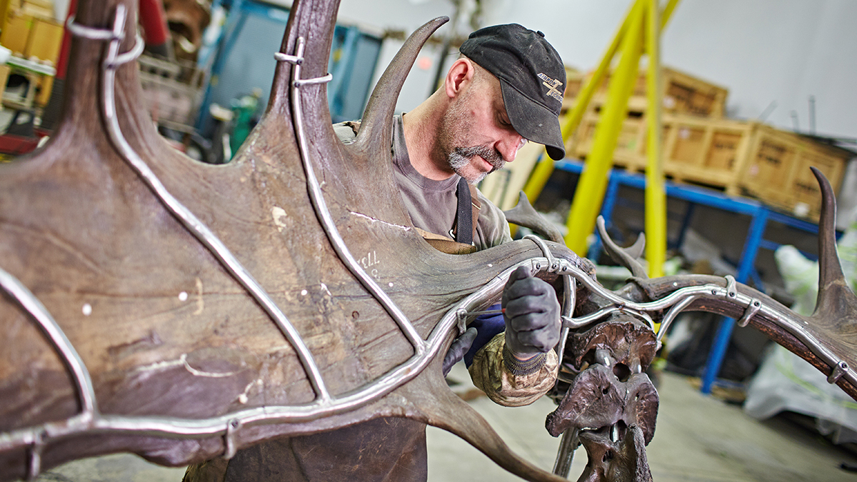 Smithsonian National Museum of Natural History Fossil Hall – Research ...