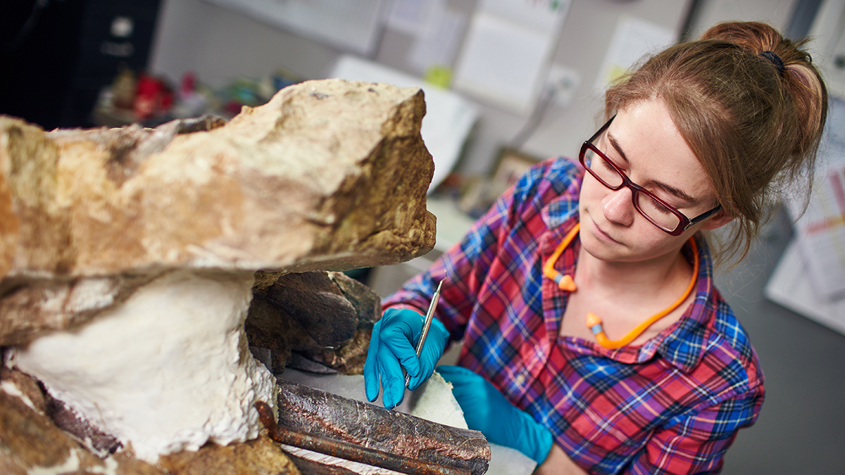 Smithsonian National Museum of Natural History Fossil Hall – Research ...