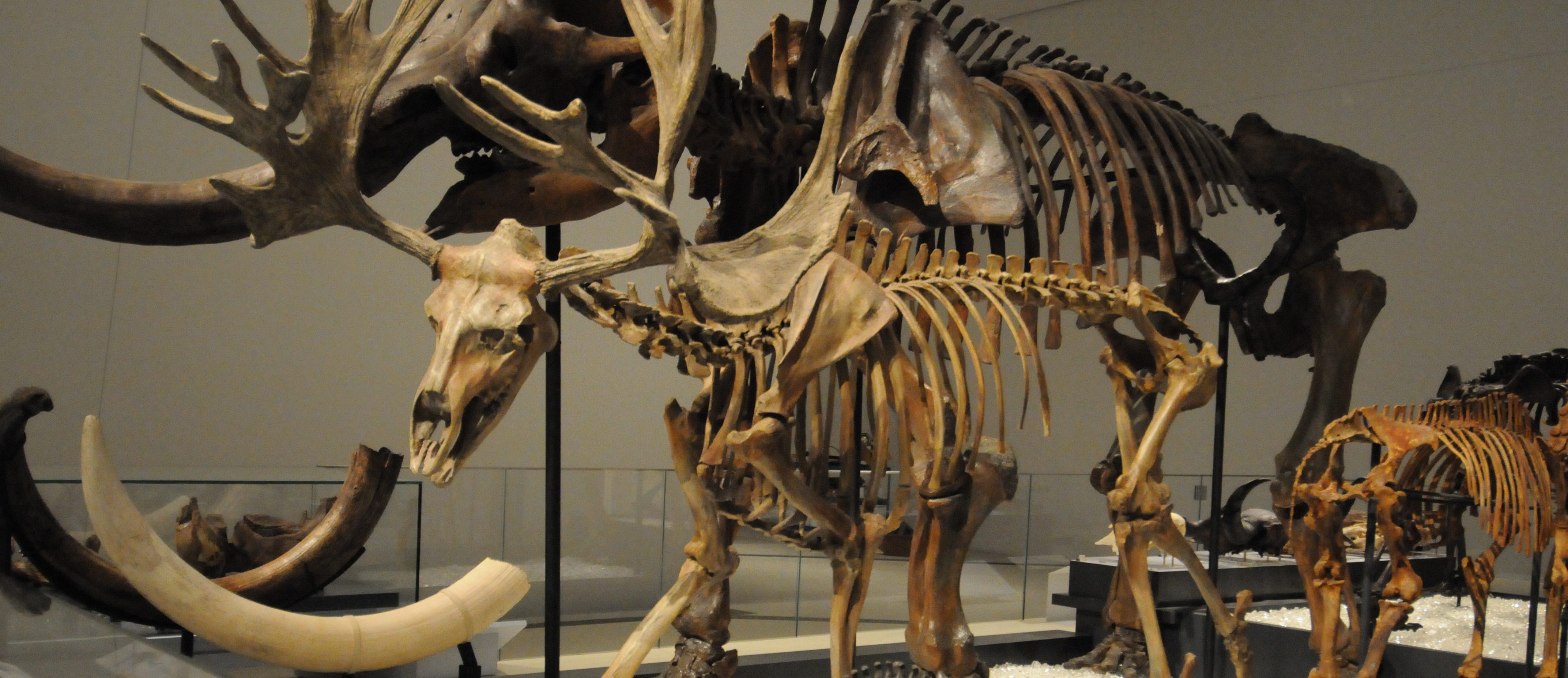 Portfolio – Research Casting International